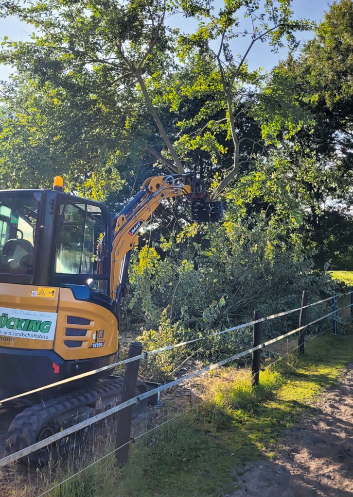 Kompaktbagger mit Rototop lässt Galabauer effektiverer arbeiten - bd ...